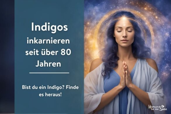 Indigo Erwachsene - bist du das? - Harmonie für die Seele